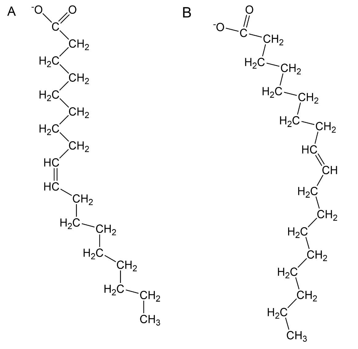 Solved image below shows two C18 lipid molecules A and B. 1) | Chegg.com