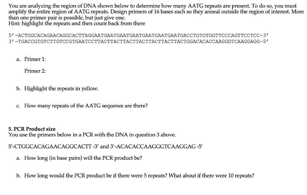 Solved You are analyzing the region of DNA shown below to | Chegg.com