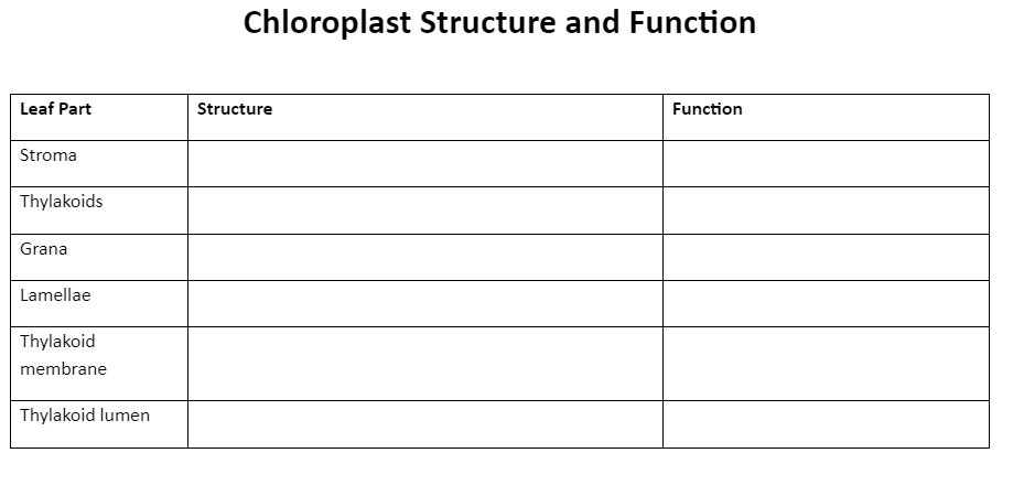 Solved Chloroplast Structure and Function | Chegg.com