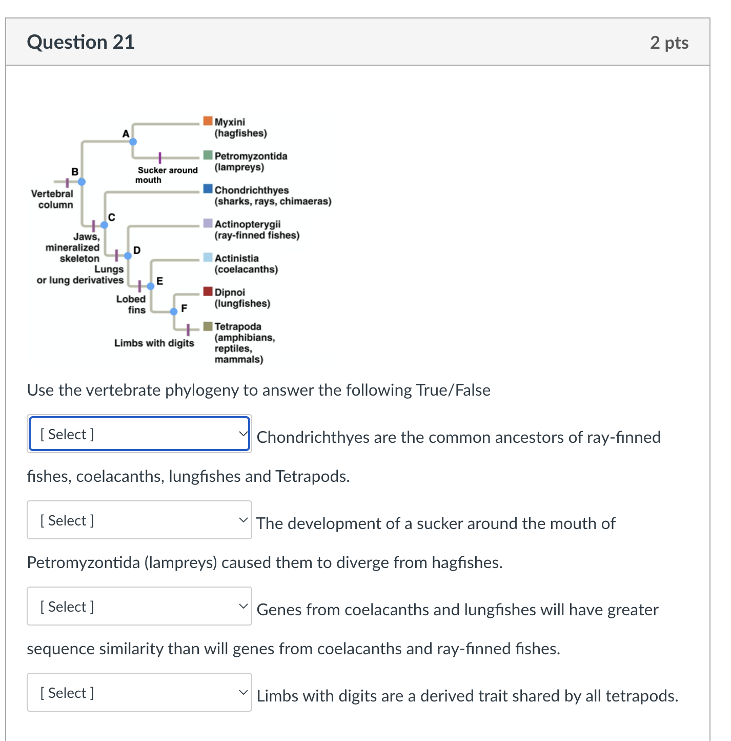 Solved Use the vertebrate phylogeny to answer the following | Chegg.com