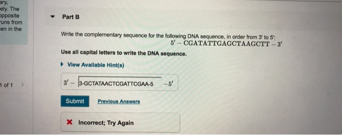 Write The Complementary Sequence For The Following Dna Sequence, In ...