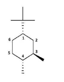 Solved Circle the higher energy chair conformation and draw | Chegg.com