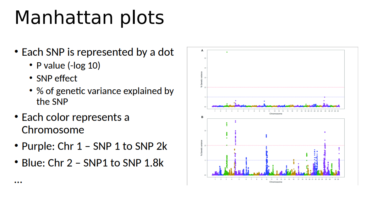 We genotyped 100 individuals for 7 SNPs. From those | Chegg.com