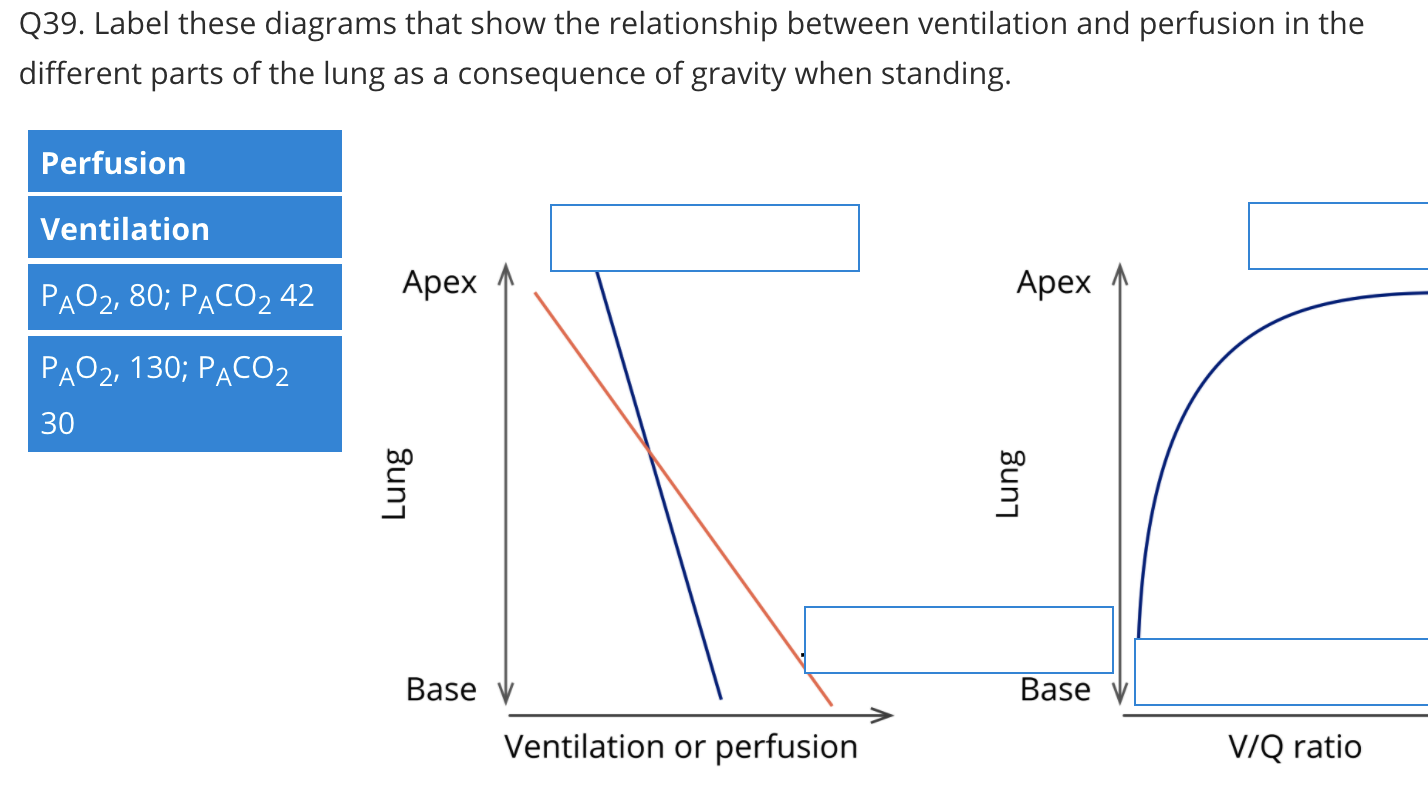Solved Q37. Label this diagram that shows the relationship | Chegg.com