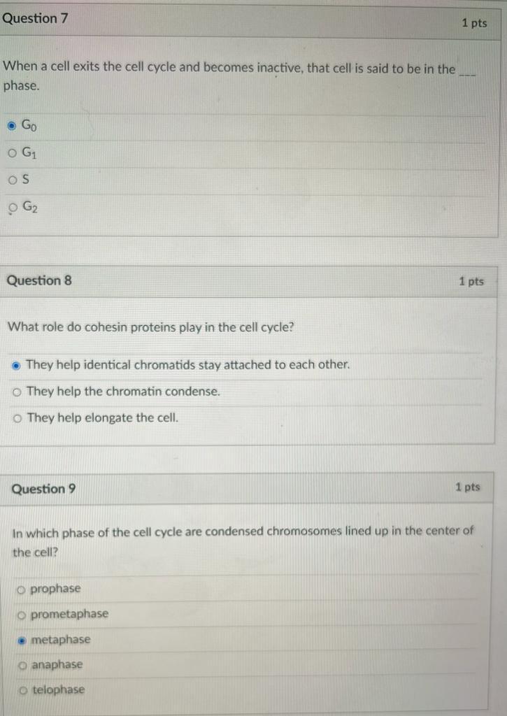 Solved When a cell exits the cell cycle and becomes | Chegg.com