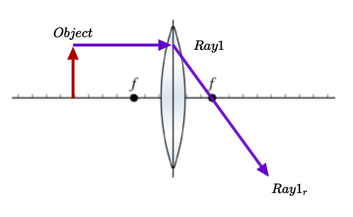 Solved (Figure 1) shows a small plant near a thin lens. The | Chegg.com