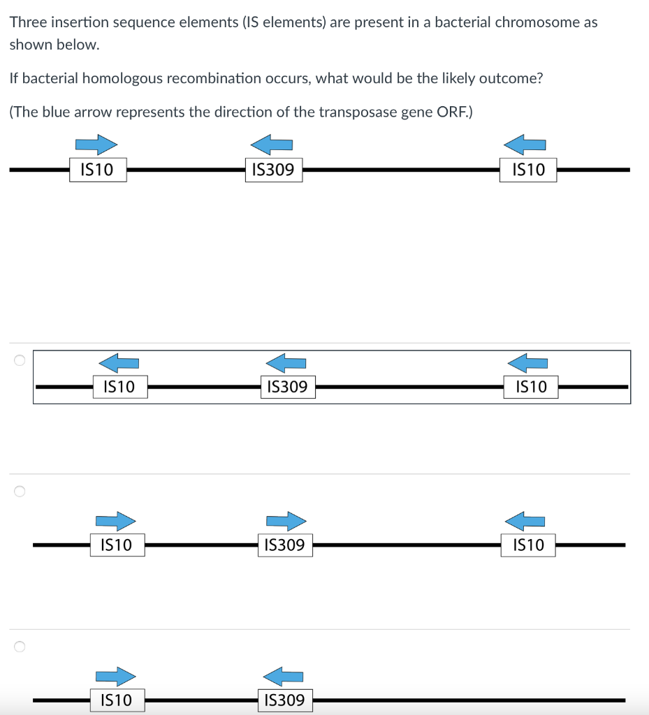 Three insertion sequence elements (IS elements) are | Chegg.com