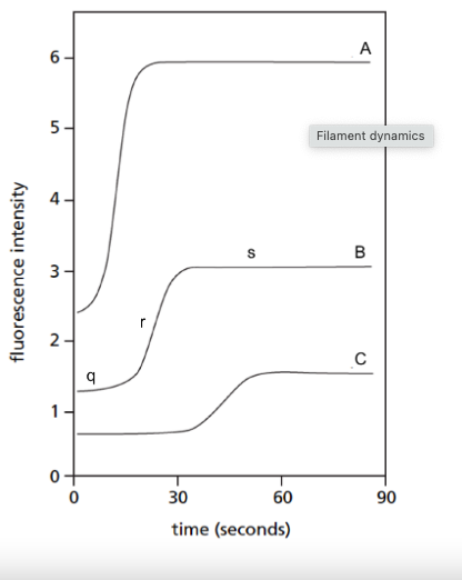 Solved The graph below shows a time course of actin | Chegg.com
