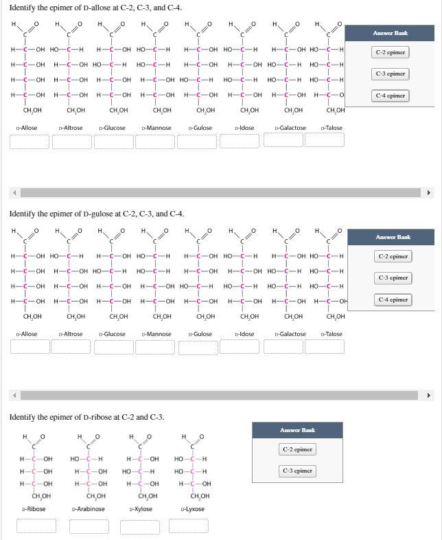 Solved Identify the epimer of D-allose at C-2, C-3, and C-4. | Chegg.com
