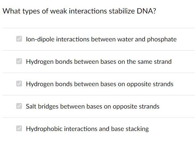 Solved What types of weak interactions stabilize DNA? | Chegg.com