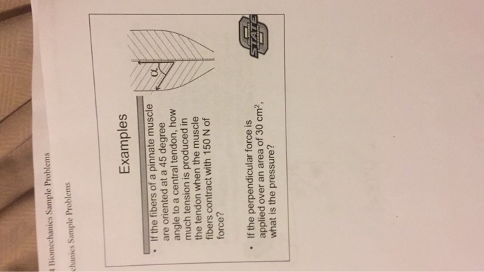 Solved l Biomechanics Sample Problems chanics Sample | Chegg.com