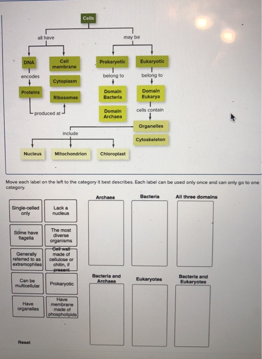 Solved Move each label on the left to the category it best | Chegg.com