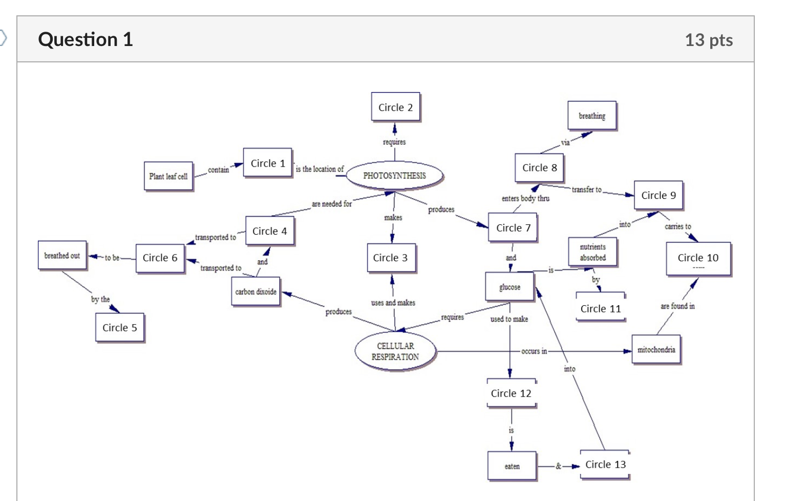 Solved muscle (or body) cells lungs ATP digested oxygen | Chegg.com