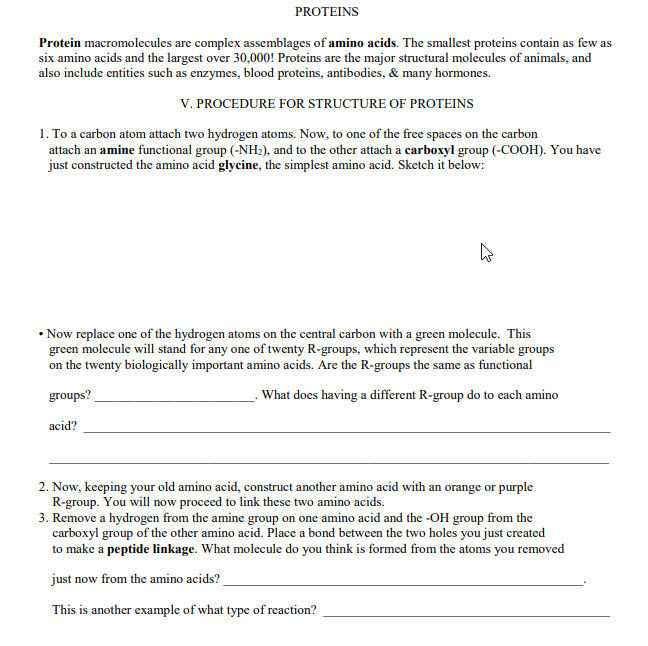 Solved PROTEINS Protein macromolecules are complex | Chegg.com