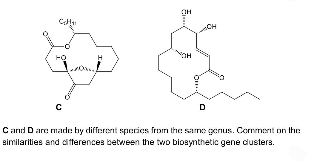 Solved C5H11 OH OH O HO C C and D are made by different | Chegg.com
