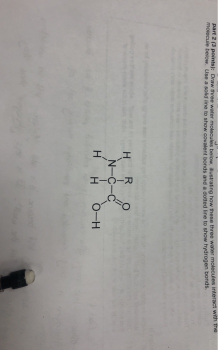 Solved part 2 (3 points): Draw three water molecules below, | Chegg.com