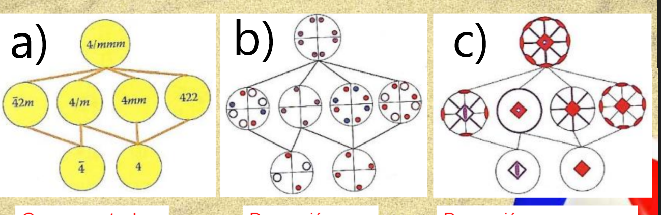 The following figure presents the 3D point groups of | Chegg.com