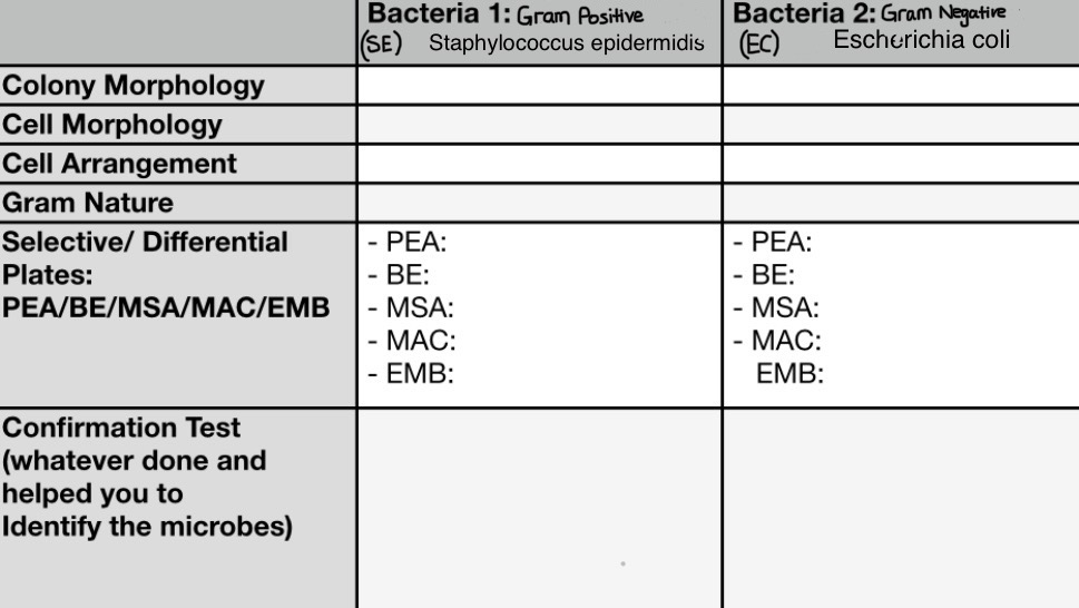 Solved \begin{tabular}{l|l|l} & \multicolumn{1}{|l|}{ | Chegg.com