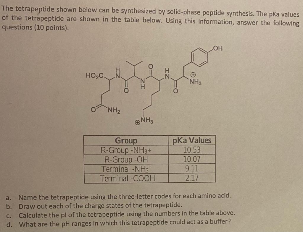 Solved The tetrapeptide shown below can be synthesized by | Chegg.com