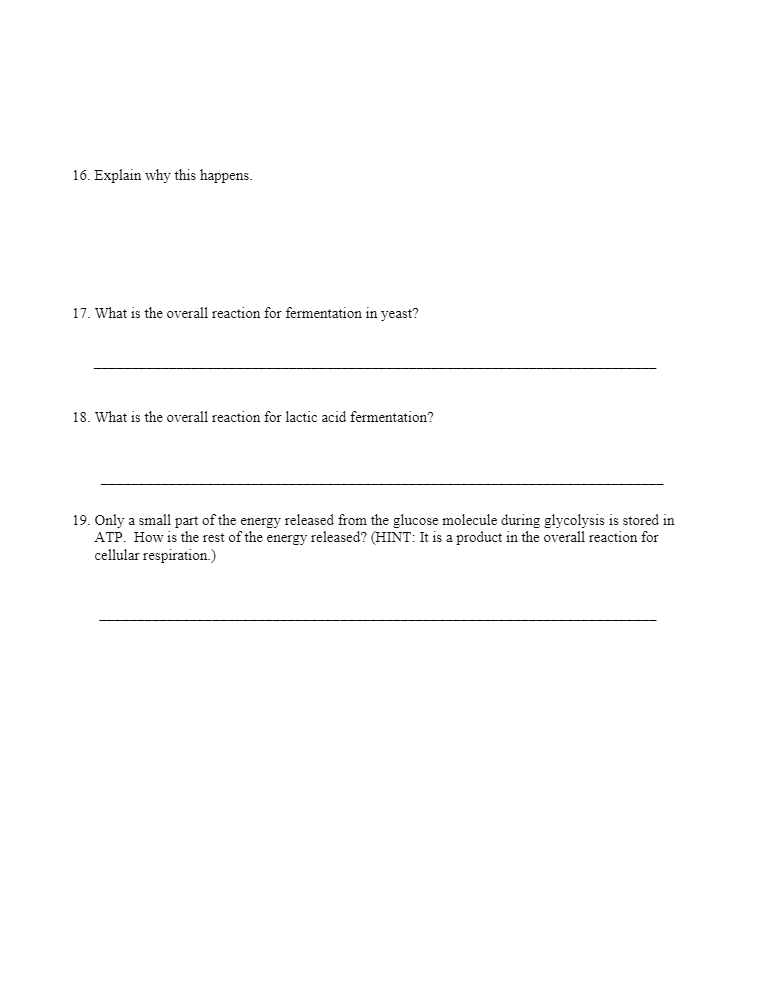 Cellular Respiration Worksheet 1. What are the 3 | Chegg.com