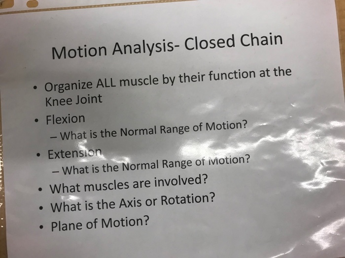 Solved Motion Analysis- Closed Chain Organize ALL muscle by | Chegg.com