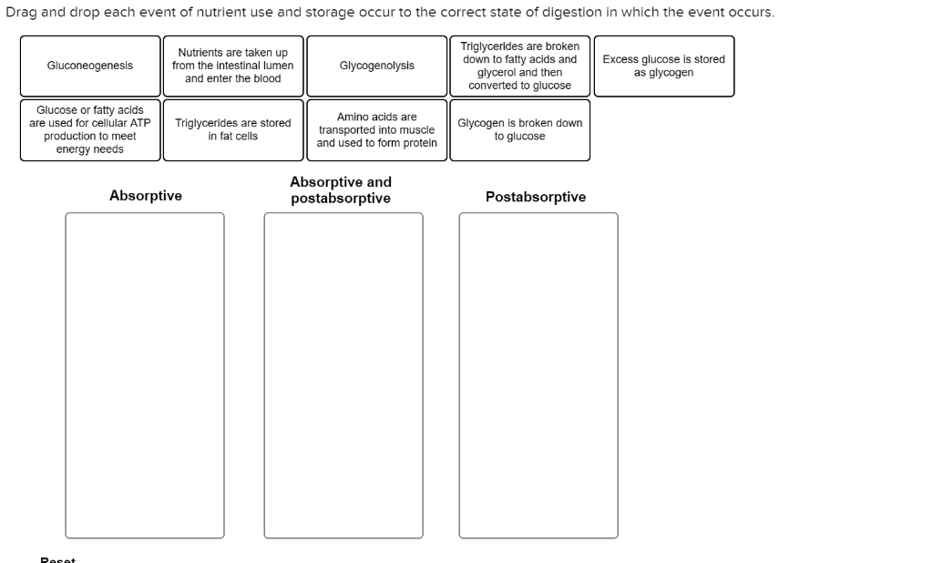 Solved Drag and drop each event of nutrient use and storage | Chegg.com