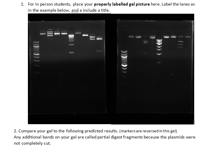 1. For in person students, place your properly | Chegg.com