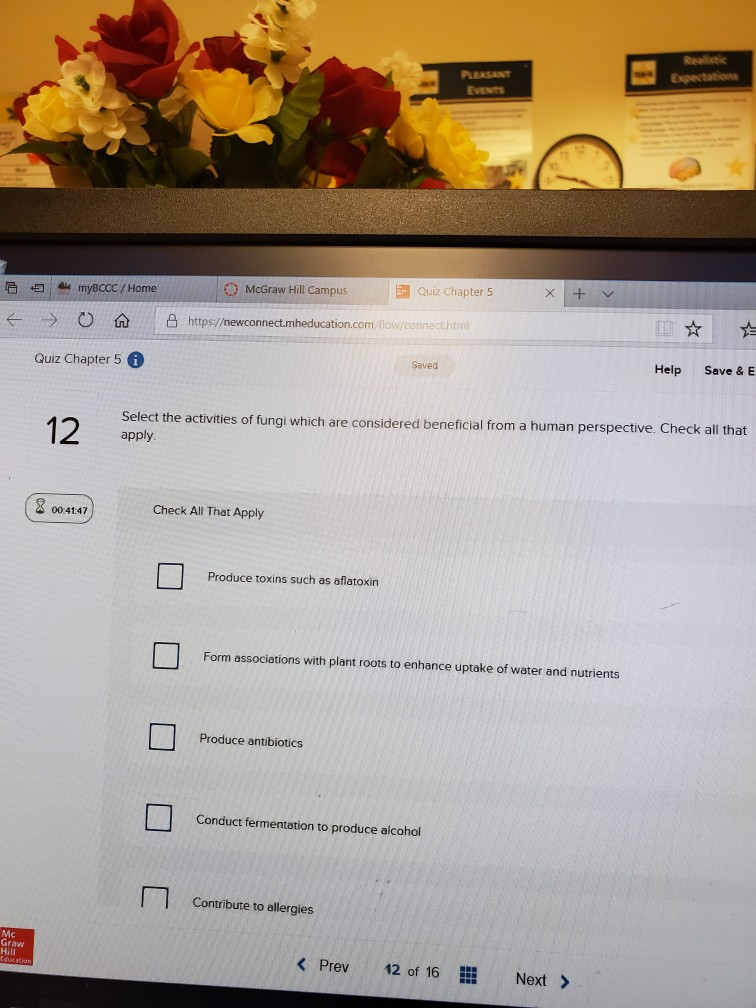 Solved Eectations a myBCCC / Home McGraw Hill Campus Er Quiz | Chegg.com