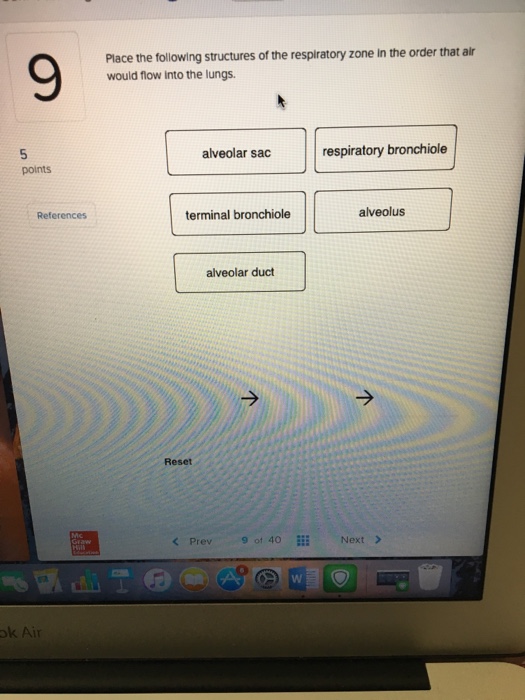 Solved 9 Place the following structures of the respiratory | Chegg.com