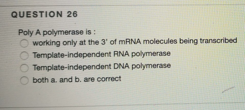 Solved Poly A polymerase is : working only at the 3 of mRNA | Chegg.com