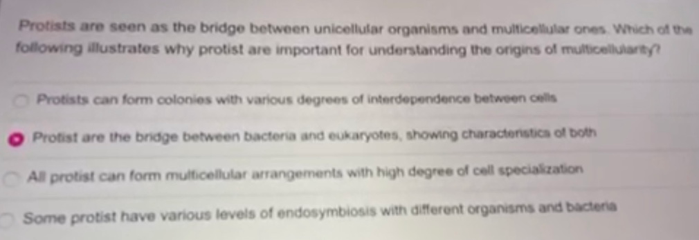 Solved Protists are seen as the bridge between unicellular | Chegg.com