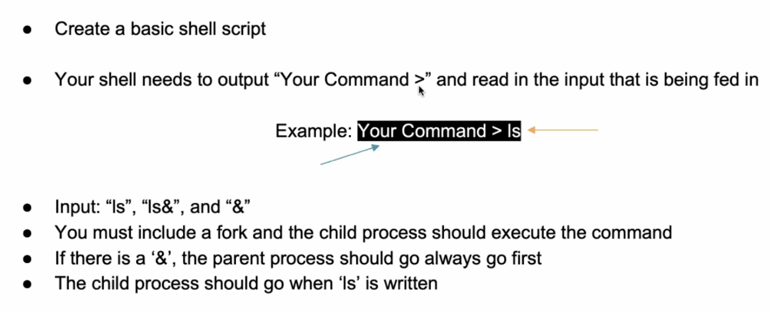Create a basic shell script Your shell needs to | Chegg.com