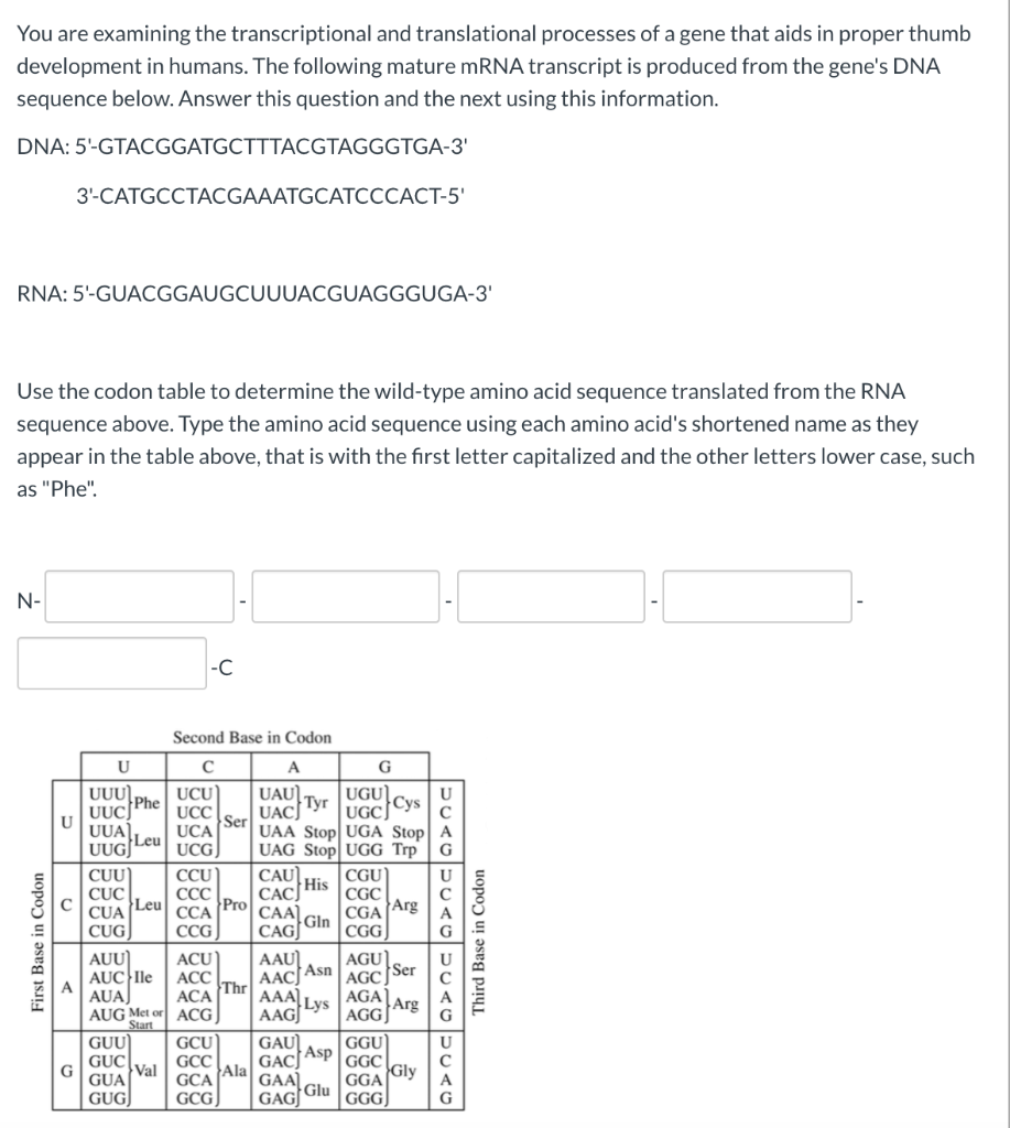 Solved What is the sequence and write the name in the boxes. | Chegg.com