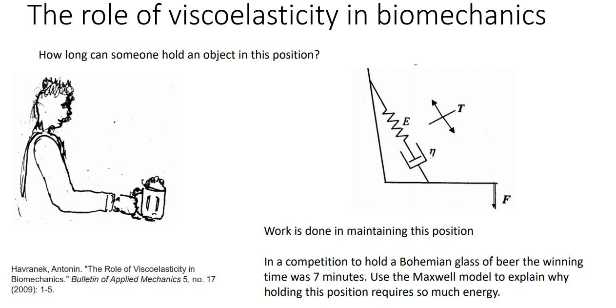 Solved The role of viscoelasticity in biomechanics How long | Chegg.com