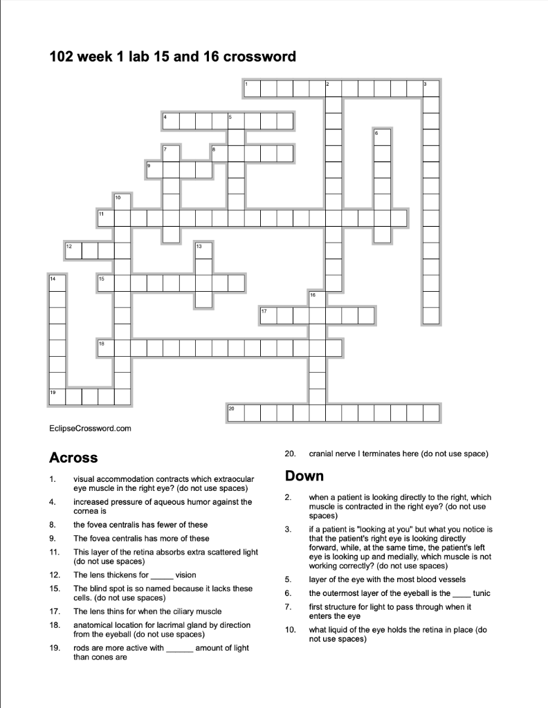 Solved 102 week 1 lab 15 and 16 crossword 9 10 11 13 14 15 | Chegg.com