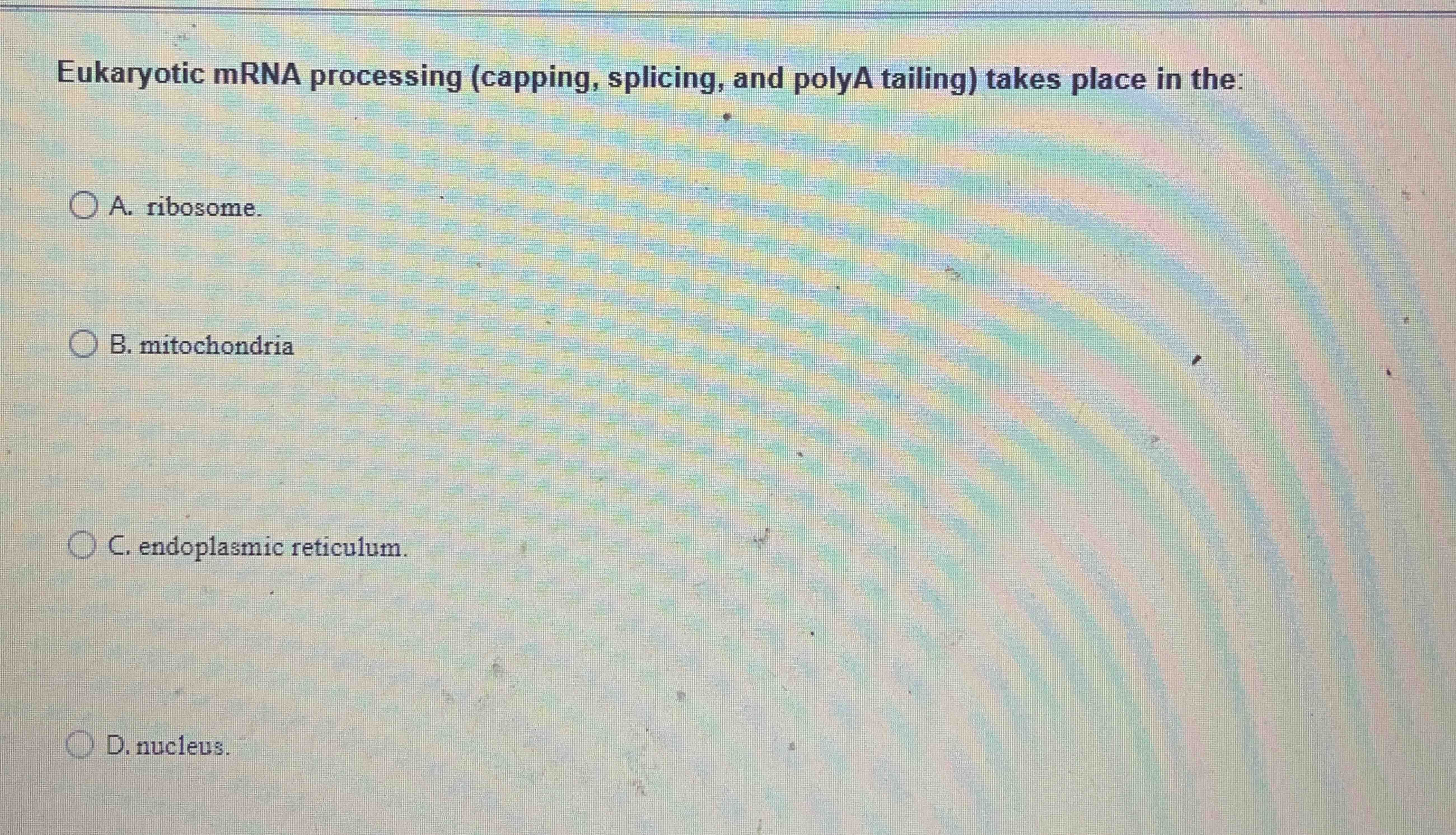 Solved Eukaryotic mRNA processing (capping, ﻿splicing, and | Chegg.com