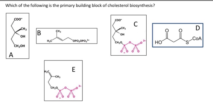 Solved Which of the following is the primary building block | Chegg.com