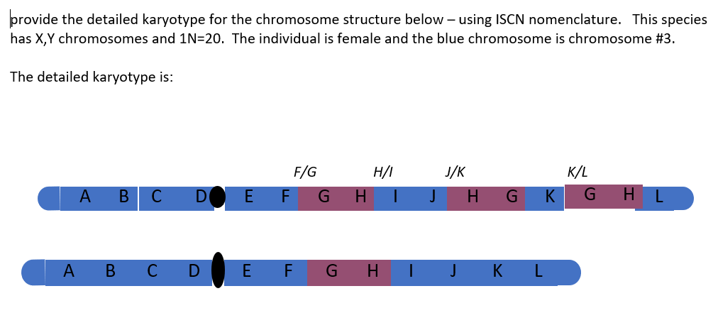 provide the detailed karyotype for the chromosome | Chegg.com