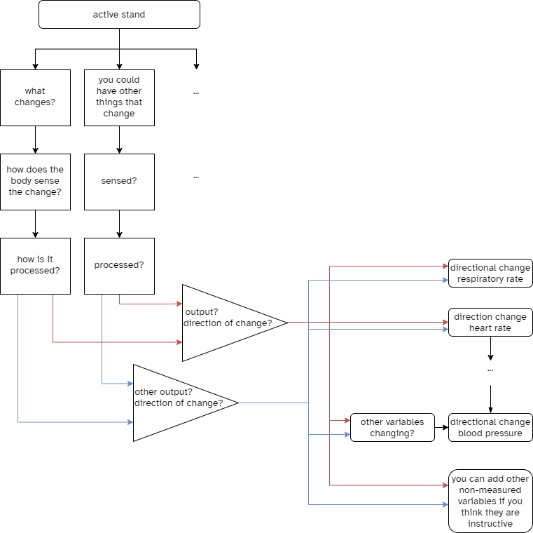 Solved create a flow diagram, the detail that the flow | Chegg.com