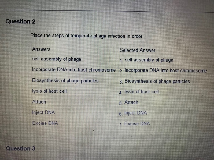 Solved Question 2 Place the steps of temperate phage | Chegg.com