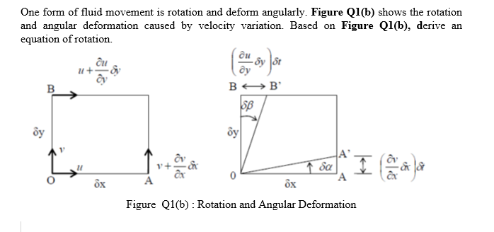 Solved One form of fluid movement is rotation and deform | Chegg.com
