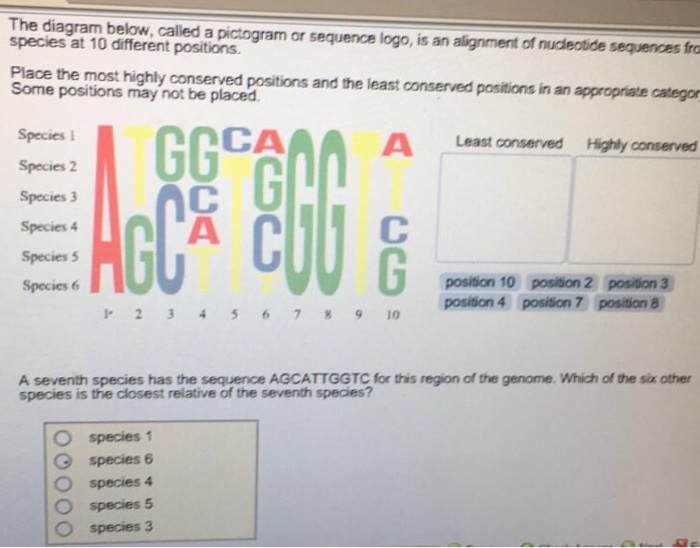 Solved The diagram below, called a pictogram or sequence | Chegg.com