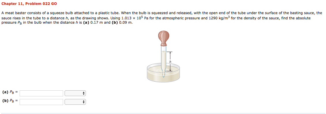 Solved A meat baster consists of a squeeze bulb attached to | Chegg.com