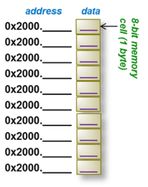 Solved 5. The following two 32-bit words are stored to 8-bit | Chegg.com
