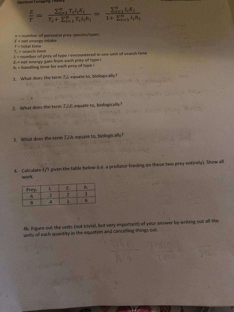 Solved Optimal Foraging Theory n=1 Tsl¡Ei T - Ts+ 2. Tslihi | Chegg.com