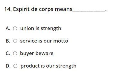 Solved 14. Espirit de corps means A. O union is strength B. | Chegg.com