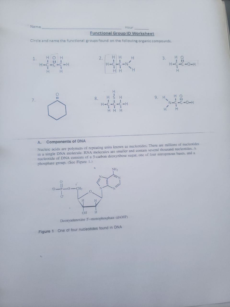 Solved Functional Group ID Worksheet Circle and name the | Chegg.com