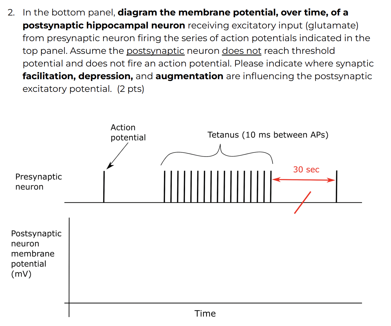 Solved In the bottom panel, diagram the membrane potential, | Chegg.com