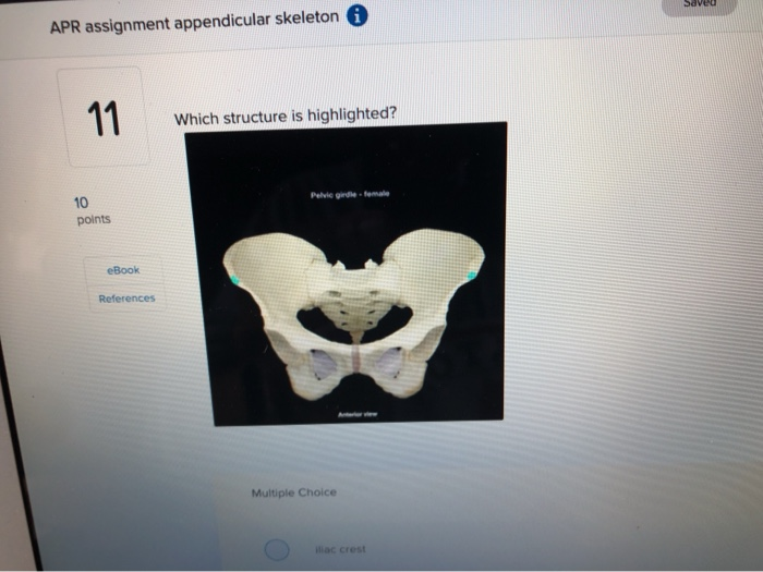 Solved APR assignment appendicular skeleton i 11 Which | Chegg.com
