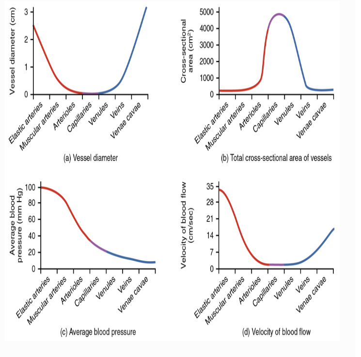 Solved What is going on in these graphs? How can pressure | Chegg.com